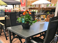 Netherlands Retail Stores & Malls | ExpatINFO Holland